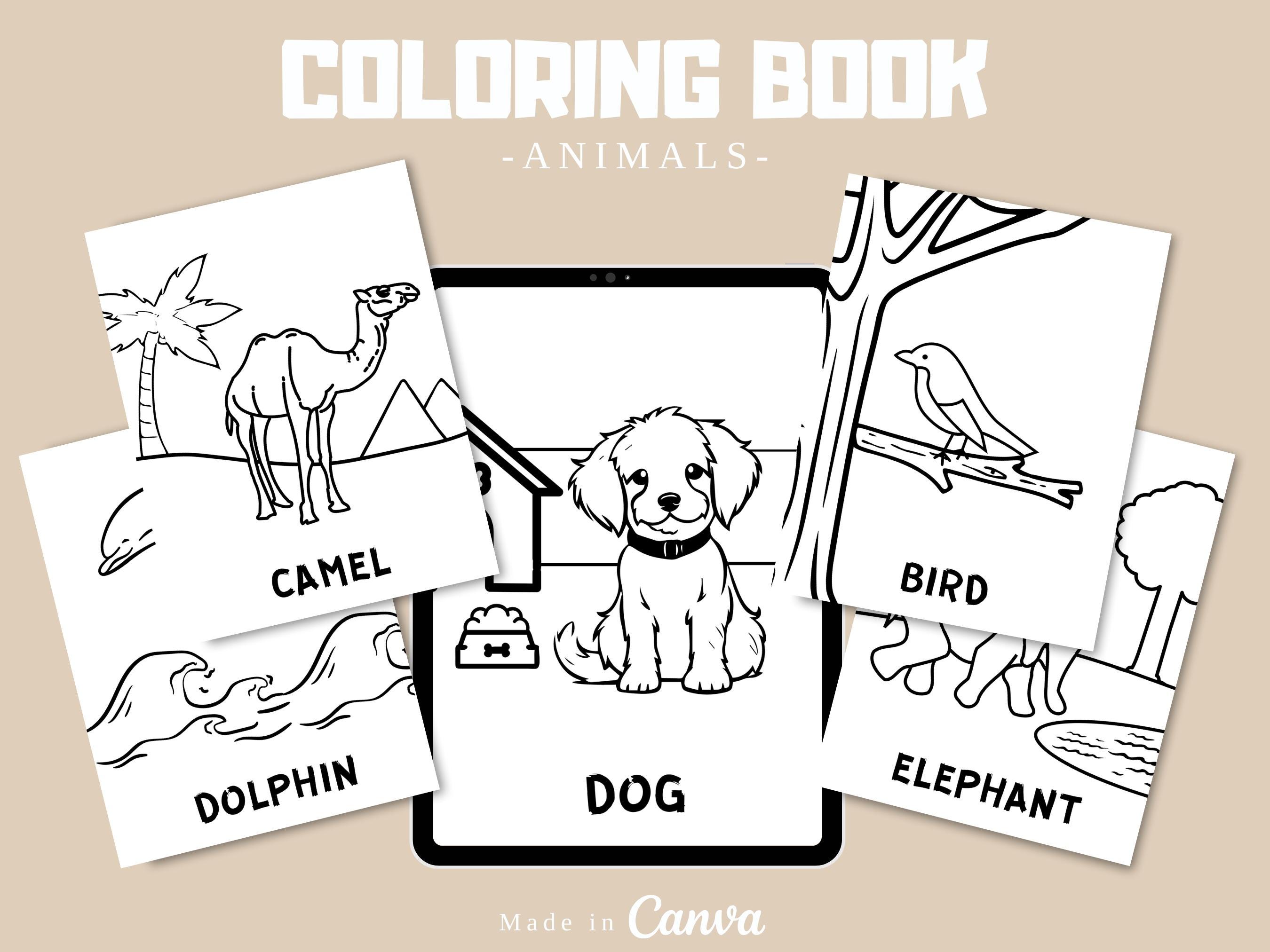 20 Animals Coloring Pages for Kids, Coloring Pages, Kids Coloring ...