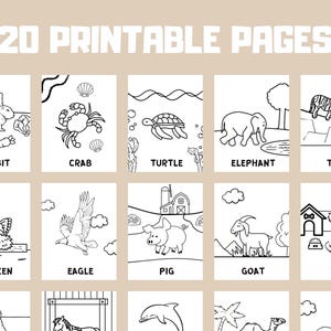 20 Animals Coloring Pages for Kids, Coloring Pages, Kids Coloring ...