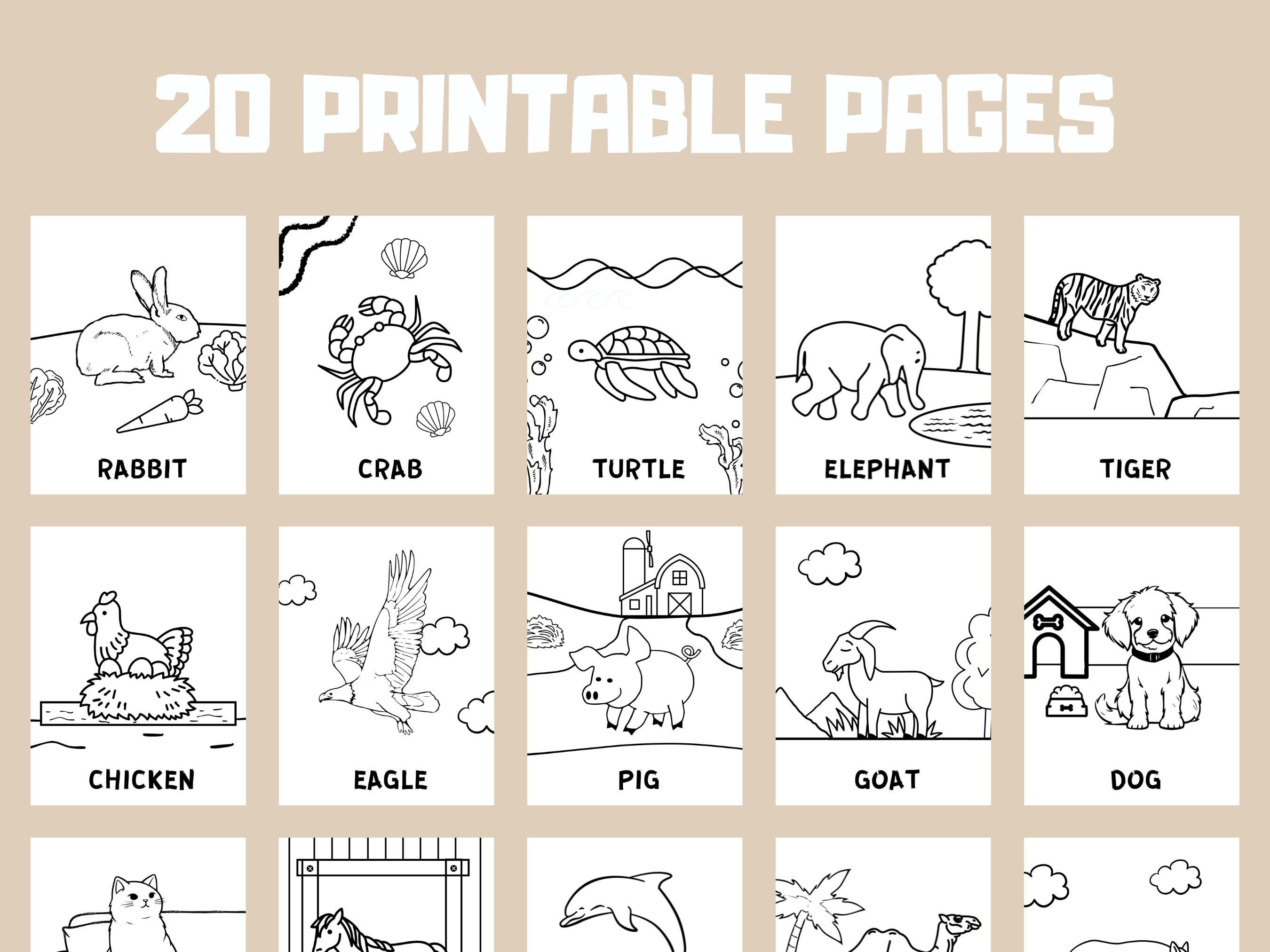 20 Animals Coloring Pages for Kids, Coloring Pages, Kids Coloring ...