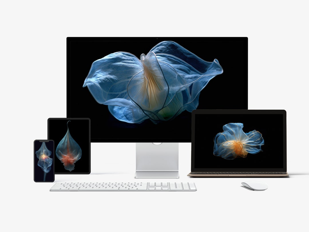 Translucent Phantasm Ethereal Wall Art Collection for Desktop, Mobile ...