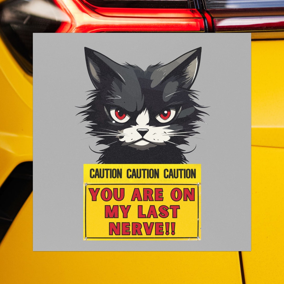 Funny Cat Magnets, Angry Cat Back off Sign, Car, Bumper, Refrigerator ...