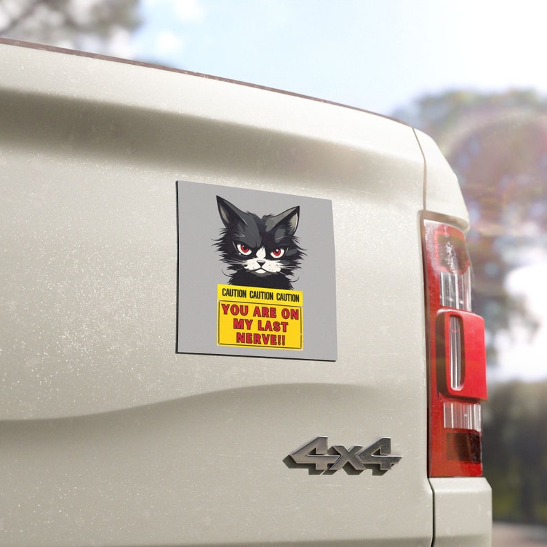 Funny Cat Magnets, Angry Cat Back off Sign, Car, Bumper, Refrigerator ...