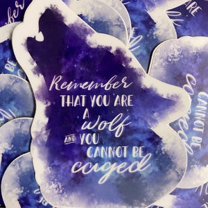 You Are a Wolf, ACOTAR, Night Court, Feyre, Rhysand, Velaris, City of ...