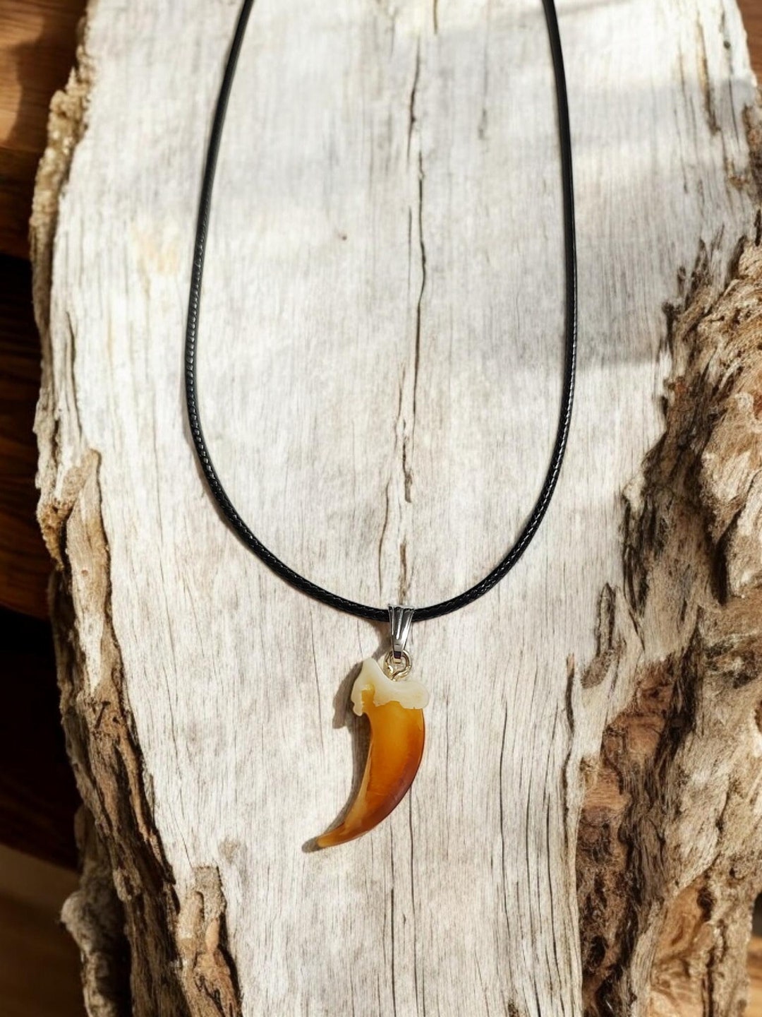 Blonde Coyote Claw Necklace, Ethically Sourced, Bone Jewelry - Etsy