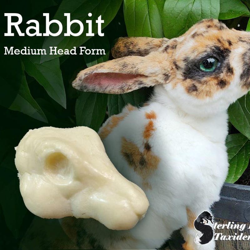 Rabbit Head - Etsy