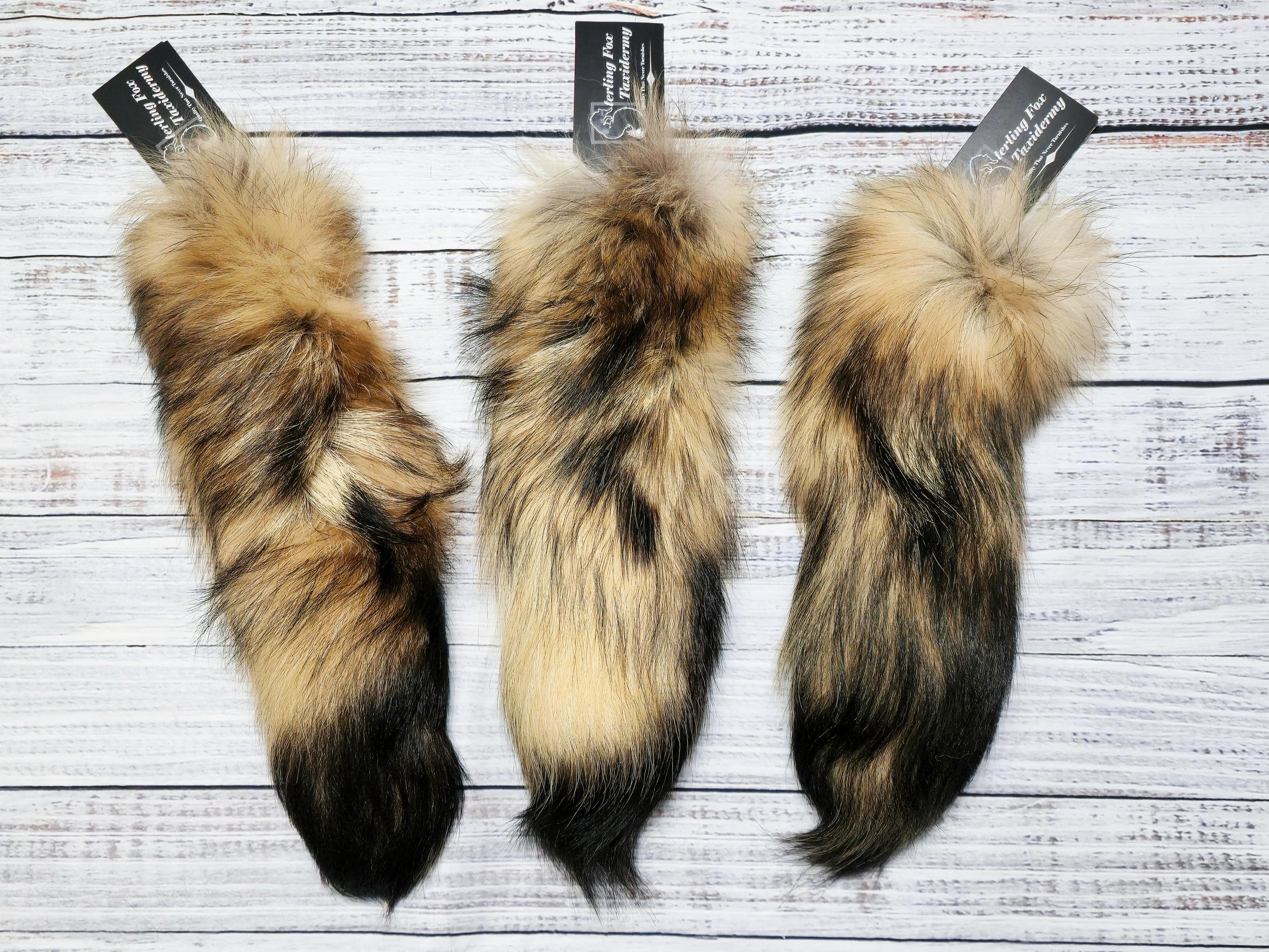 Real Tanuki, Finnish Raccoon Dog, Tail Keychain – Choose Your Own ...