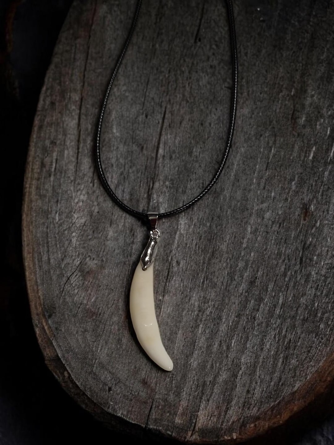 Fox Tooth Charm Necklace, Taxidermy Jewelry, Bone Pendant, Handmade - Etsy