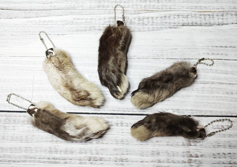 Lucky Rabbit Foot Keychain Charm Natural Fur Color - Etsy