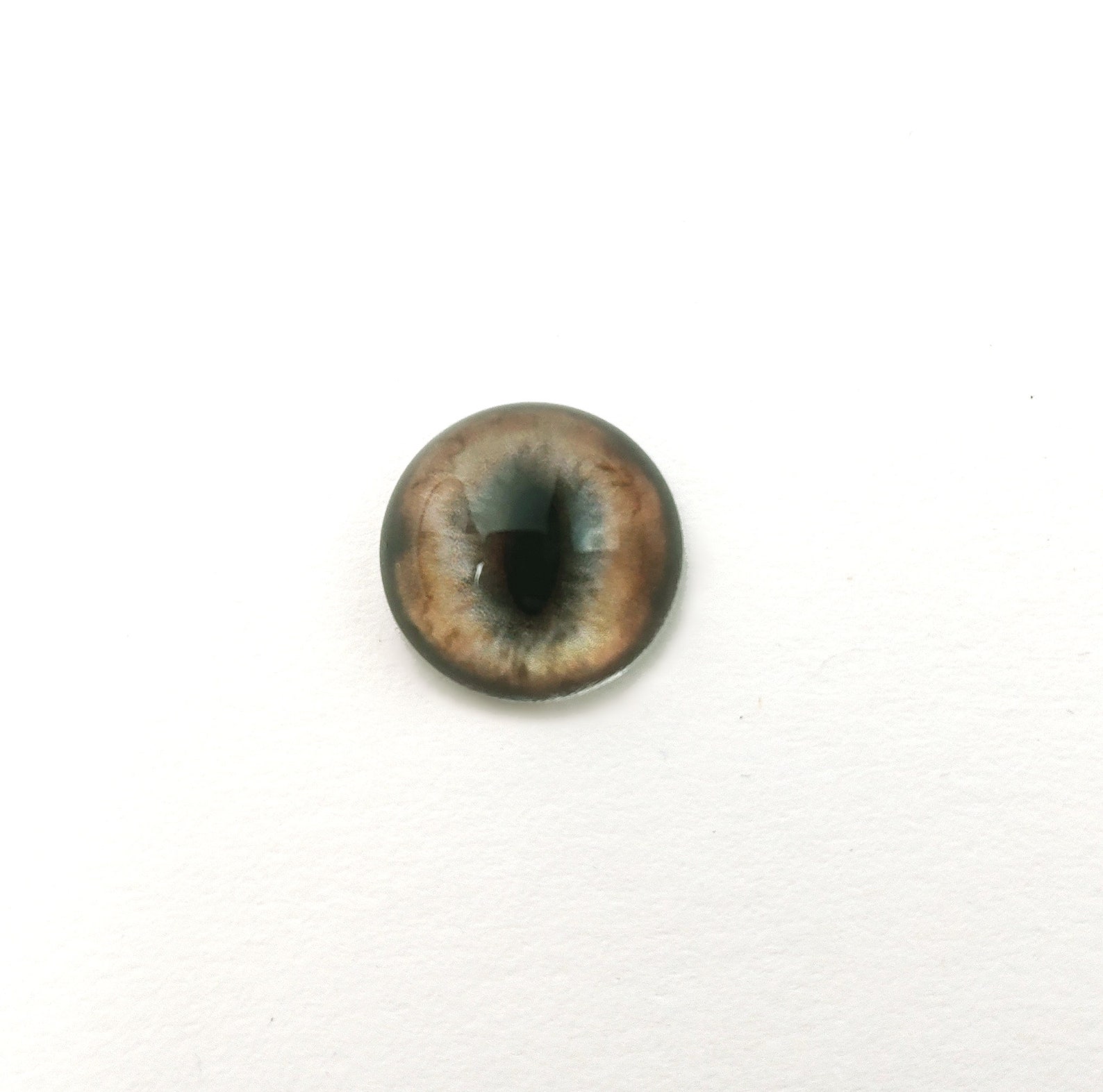 Hazel Fox RF10 Taxidermy Eyes, Glass Eyes, Craft Eyes, Made to Order - Etsy
