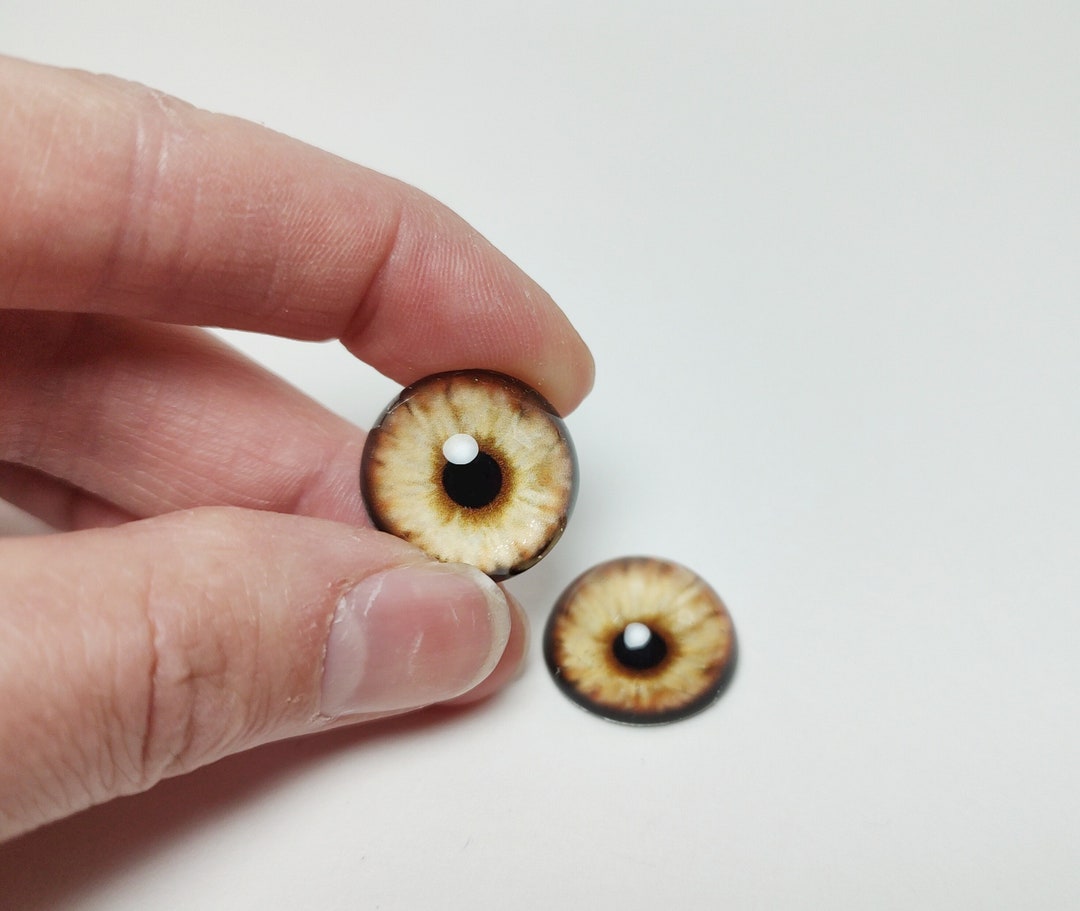 Golden Brown Wolf CW18 Taxidermy Eyes, Glass Eyes, Craft Eyes, Made to ...