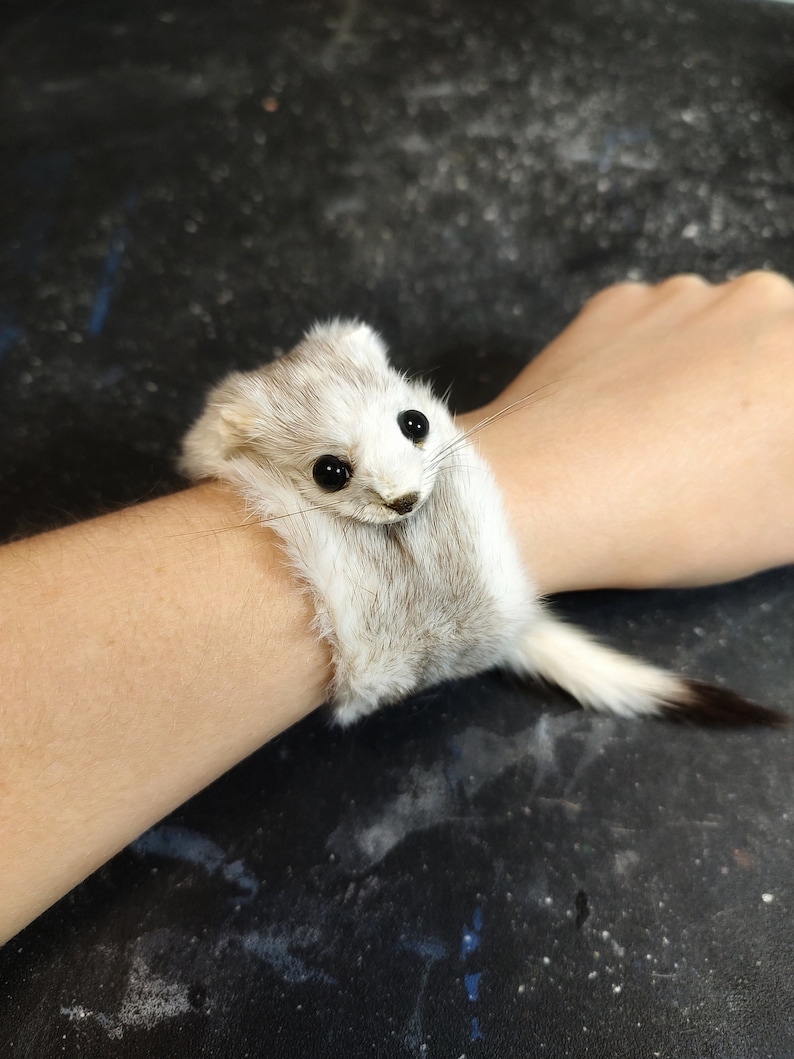 Weasel Slap Bracelet Grey and White Ermine Ermine Taxidermy - Etsy