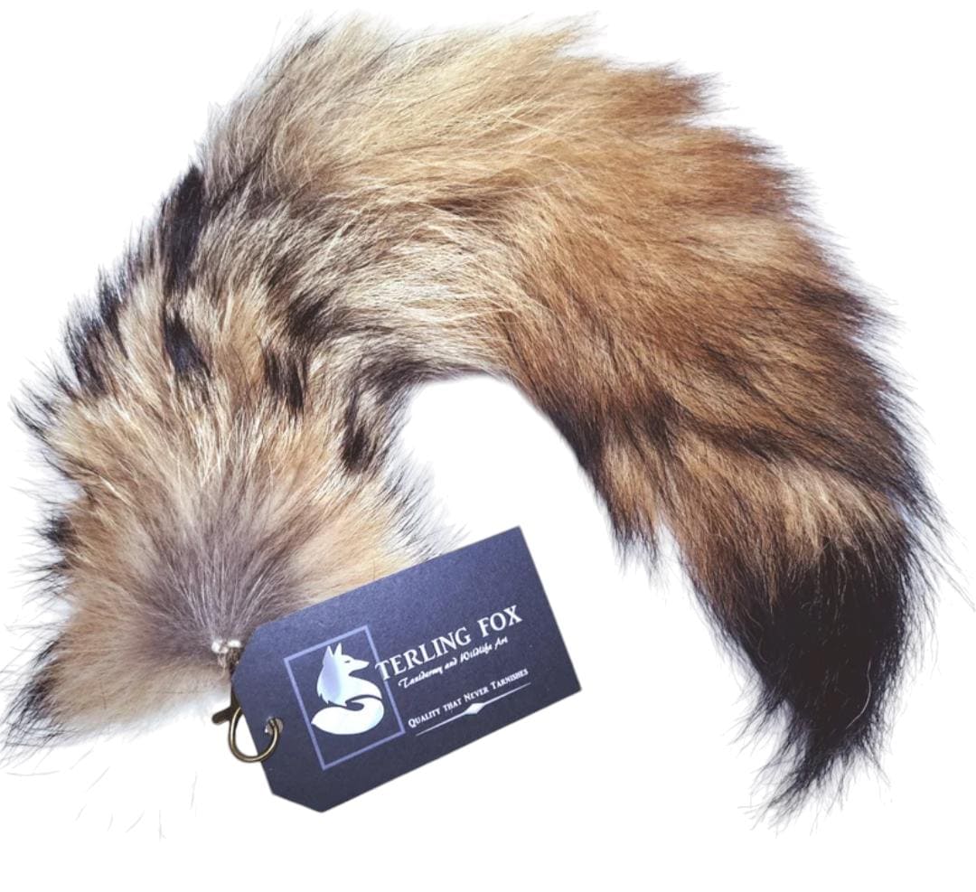 Real Coyote Tail Keychain – Choose Your Own Genuine Fur Tail With ...