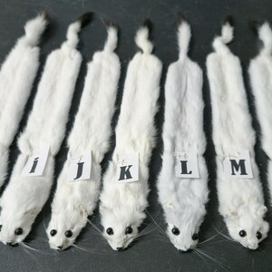 Weasel Slap Bracelet, Sherman the Ermine, White Ermine Slap Bracelet ...
