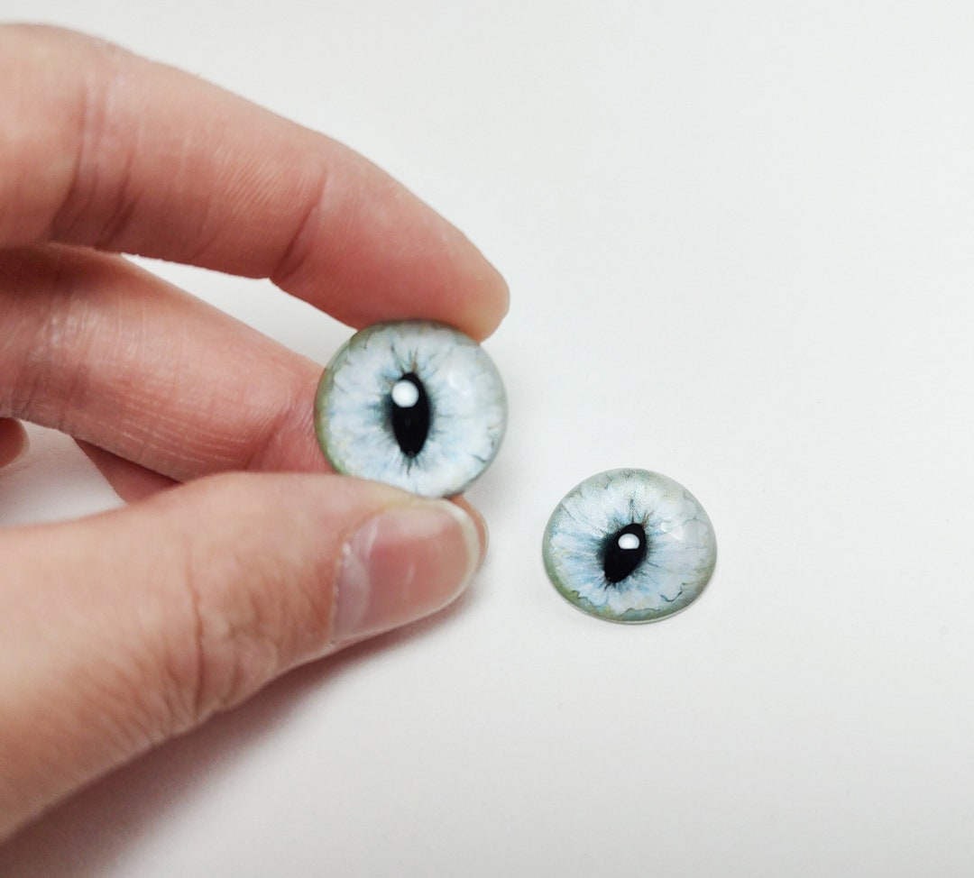 Choose a Size Pale Green Blue Taxidermy Predator Eyes Lynx - Etsy