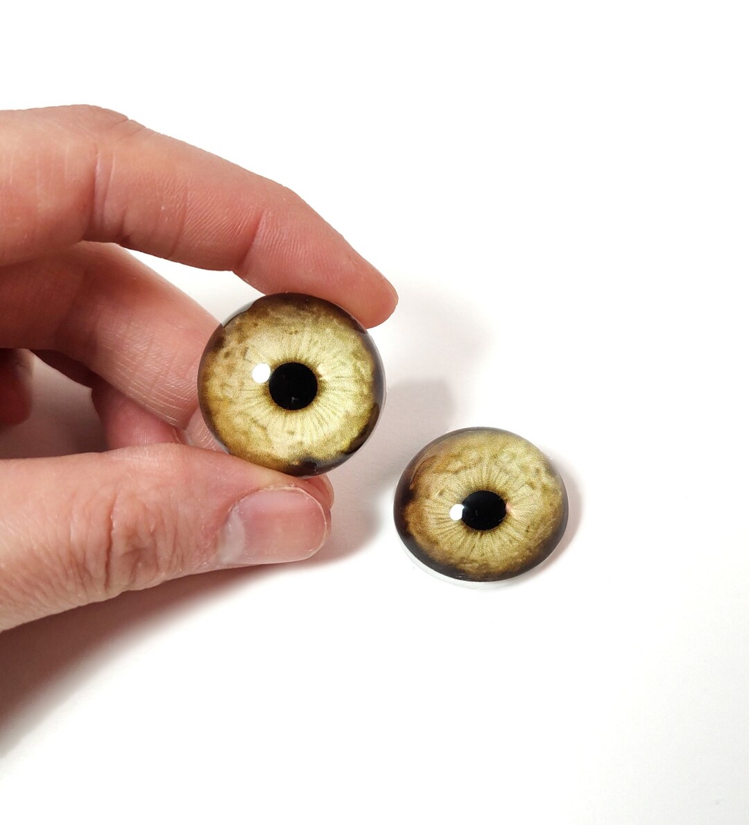 Gold Lion CW19 Taxidermy Eyes, Glass Eyes, Craft Eyes, Made to Order - Etsy