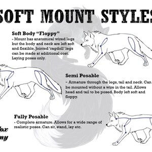 MADE TO ORDER Taxidermy Coyote Soft Mount, Softmount Commission, See ...
