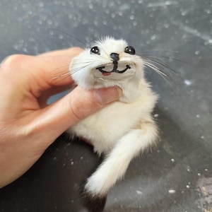 Weasel Slap Bracelet, Sherman the Ermine, White Ermine Slap Bracelet ...