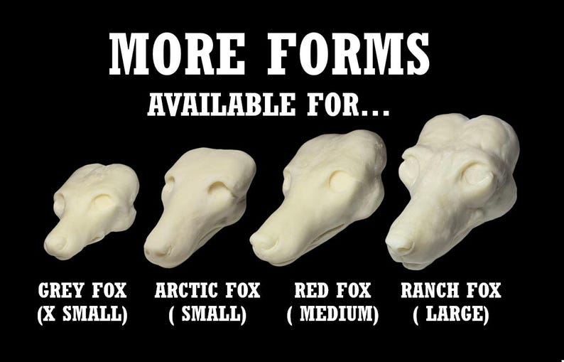Red Fox Taxidermy Head Form – Fox Change-out Form for Soft Mount or ...