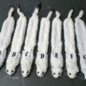 Weasel Slap Bracelet, Sherman the Ermine, White Ermine Slap Bracelet ...