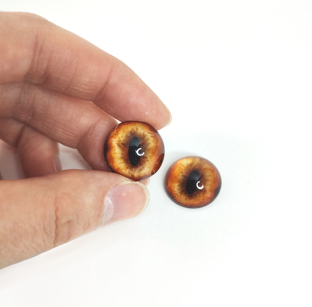 Choose a Size, Honey Orange Fox Glass Taxidermy Eyes, Glass Fox Eyes ...