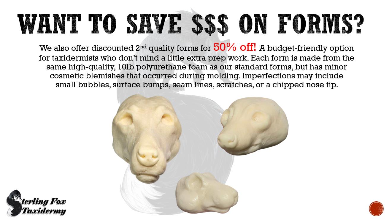 Grey Fox Taxidermy Head Form – Fox Change-out Form for Soft Mount or ...