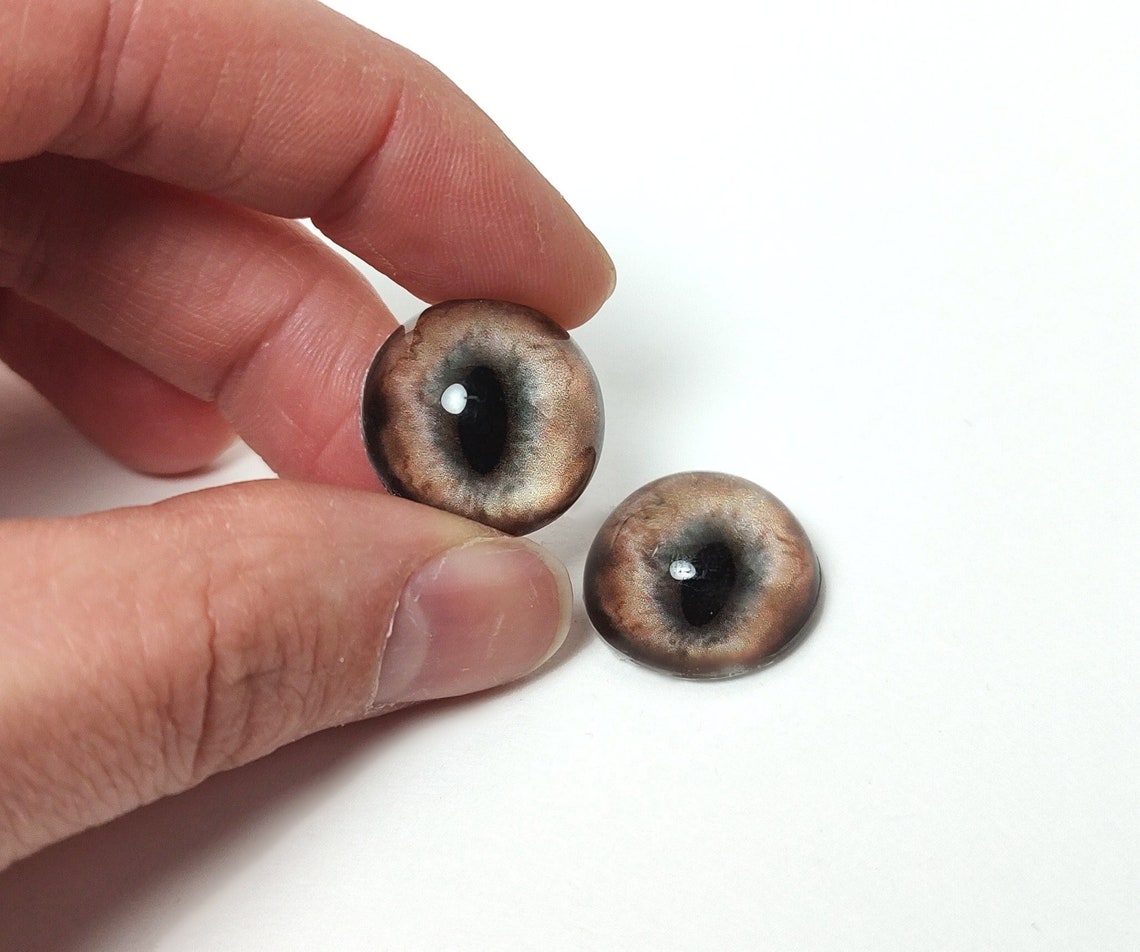 Hazel Fox RF10 Taxidermy Eyes, Glass Eyes, Craft Eyes, Made to Order - Etsy