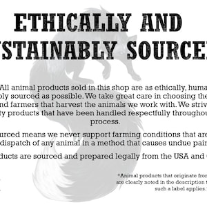 Choose Your Own, Real Fox Tail, Multi-colored Mutation Fox Tail ...