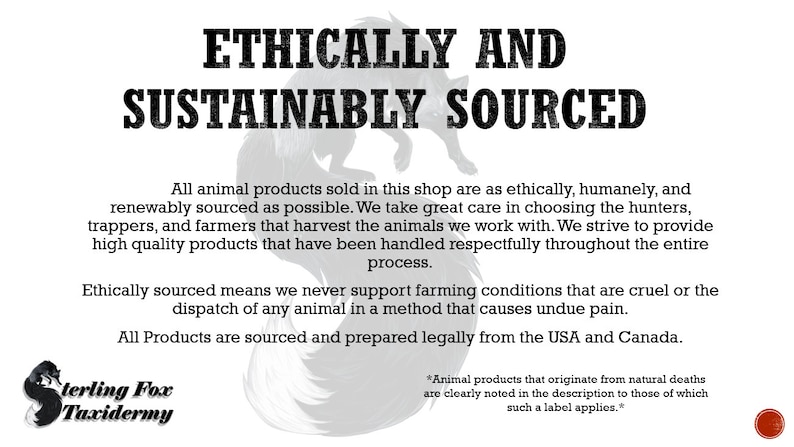 Choose Your Own, Real Fox Tail, Multi-colored Mutation Fox Tail ...