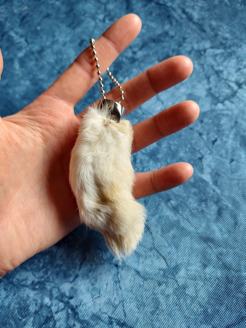 Lucky Rabbit Foot Keychain Charm Natural Fur Color - Etsy