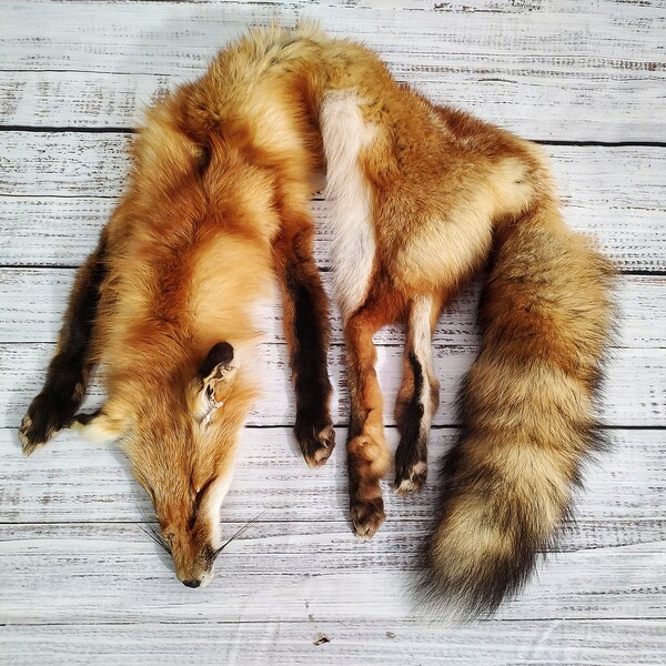 Fox Pelt With Feet - Etsy