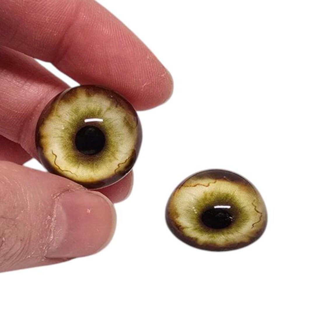 Sage Gold Coyote CW31 Taxidermy Eyes, Glass Eyes, Craft Eyes - Etsy