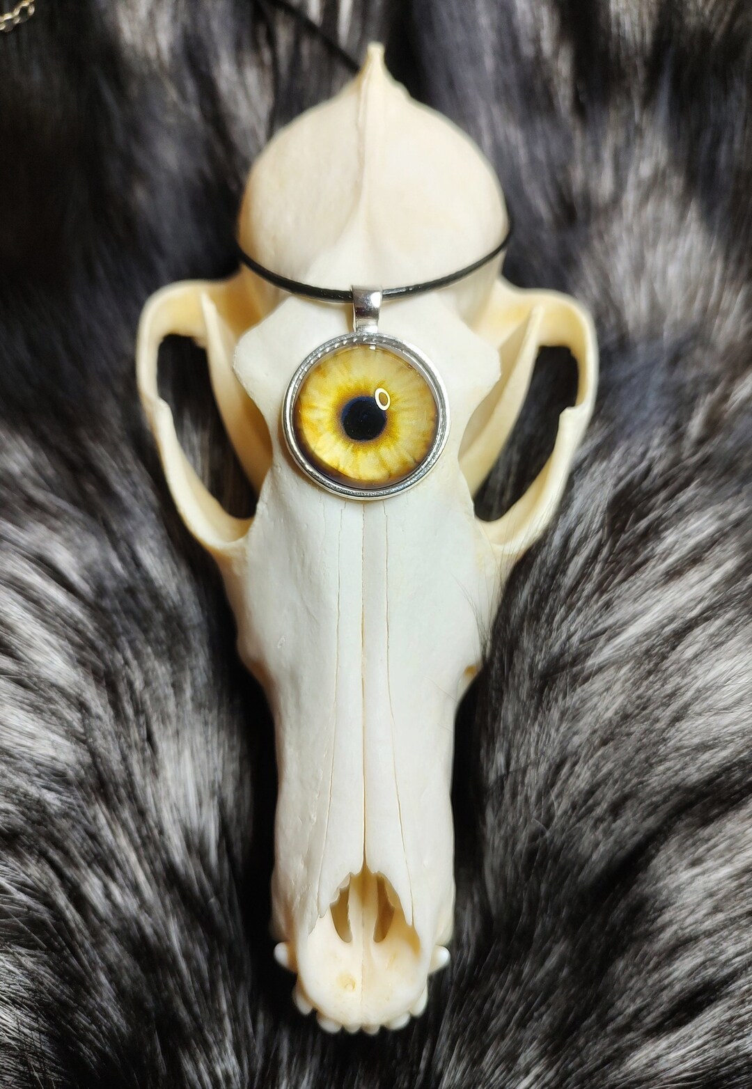 Golden Brown Wolf Eye Necklace Taxidermy Eye Jewelry 25mm - Etsy