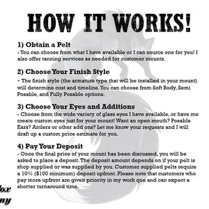 MADE TO ORDER Taxidermy Coyote Soft Mount, Softmount Commission, See ...