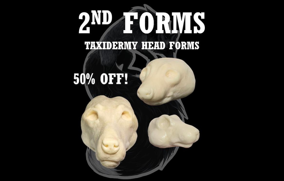 Taxidermy Head Forms - 2nd Quality Discounted Forms, Change-out Form ...