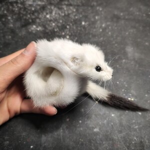 Weasel Slap Bracelet, Sherman the Ermine, White Ermine Slap Bracelet ...