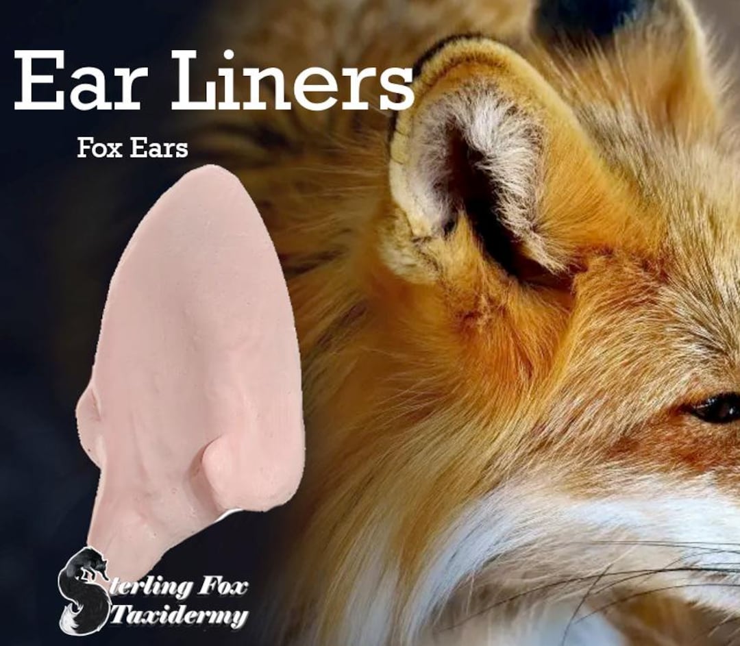 Ranch Fox Ear Liners, One Pair of Ears, Taxidermy Supplies Made to ...