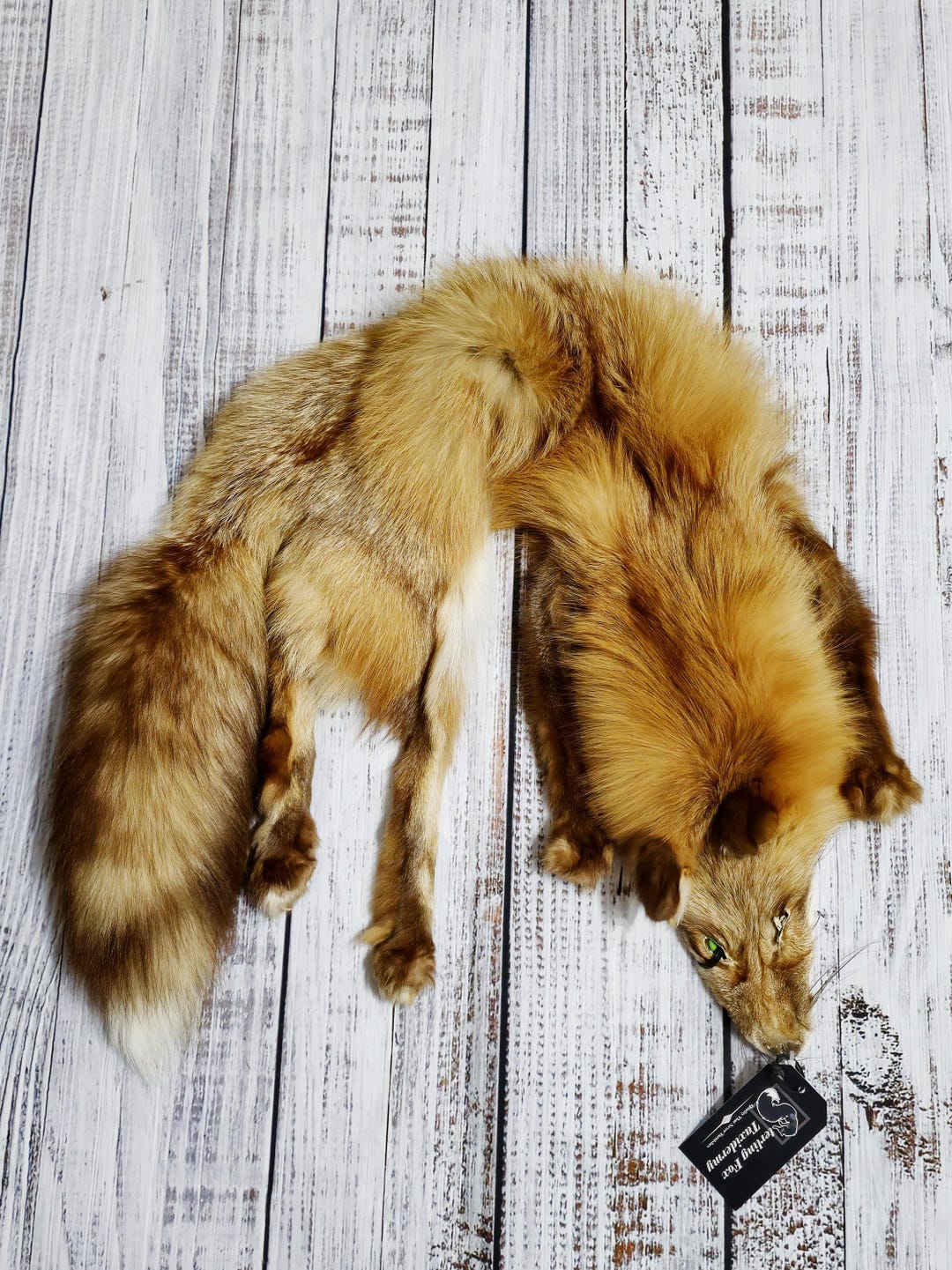 Burgundy Red Fox Pelt, Prime Winter Fur, Tanned Pelt Complete With All ...