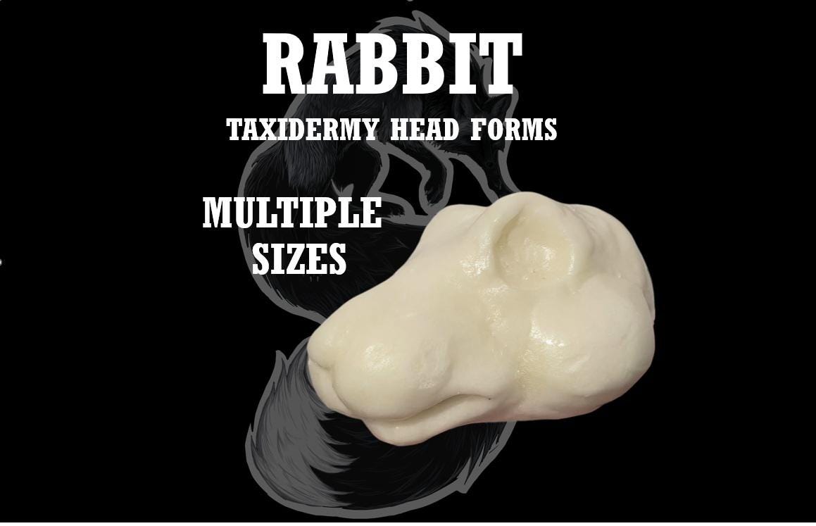 Rabbit Taxidermy Head Form – Rabbit Change-out Form for Soft Mount or ...