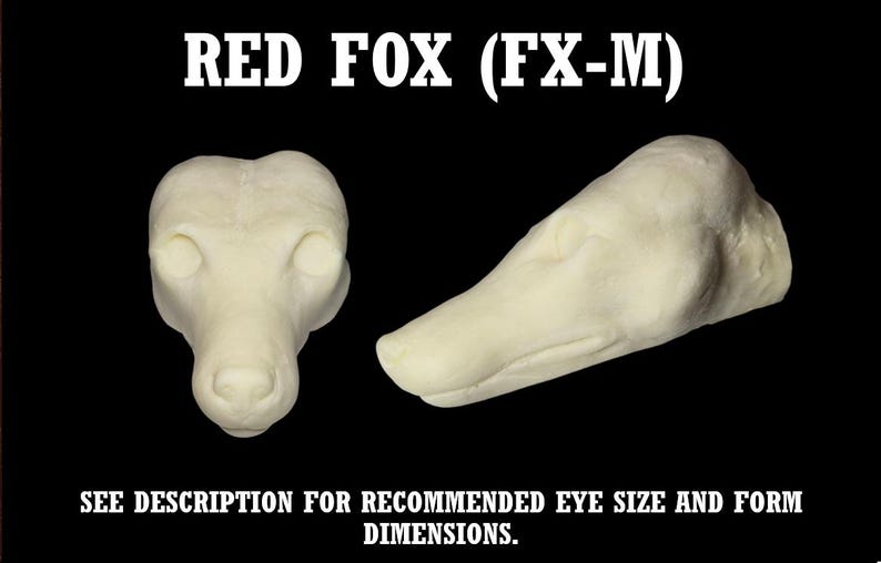 Red Fox Taxidermy Head Form – Fox Change-out Form for Soft Mount or ...