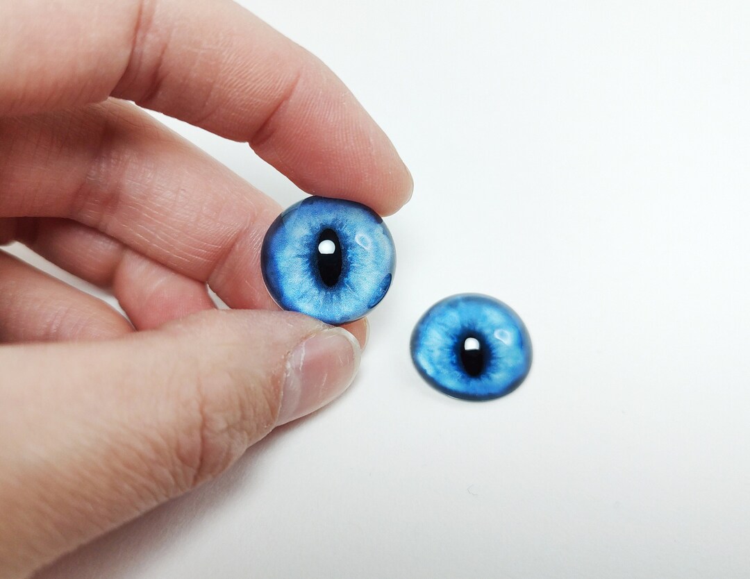 Choose a Size, Misty Blue Taxidermy Predator Eyes, Lynx, Bobcat, Ranch ...