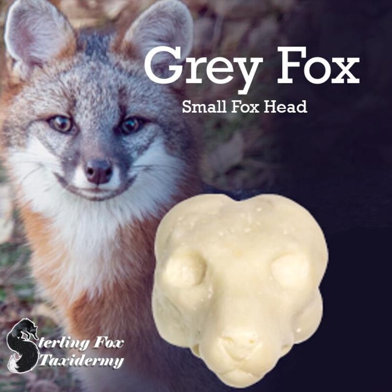 Gray Fox - Etsy