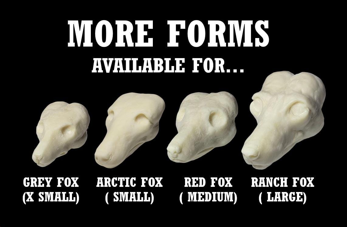 Taxidermy Head Forms - 2nd Quality Discounted Forms, Change-out Form ...