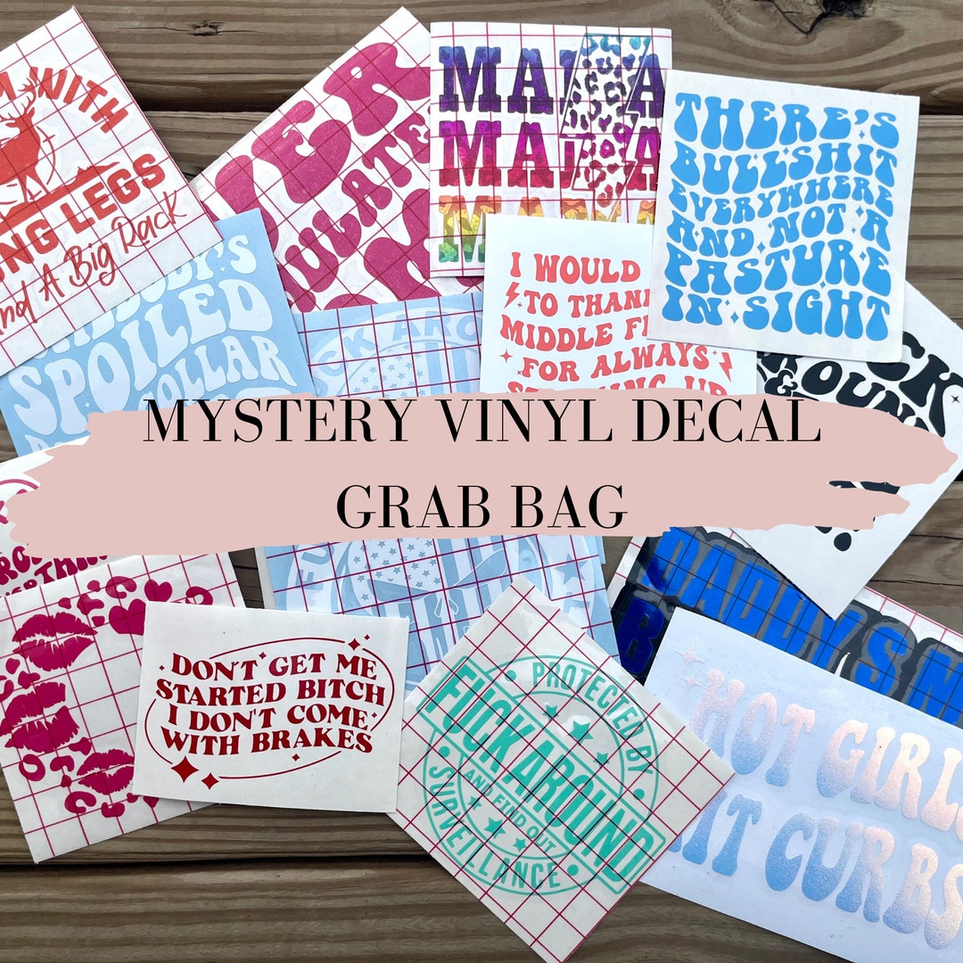 Vinyl Decal Grab Bag, Mystery Sticker Pack, Sticker Grab Bag, Vinyl ...