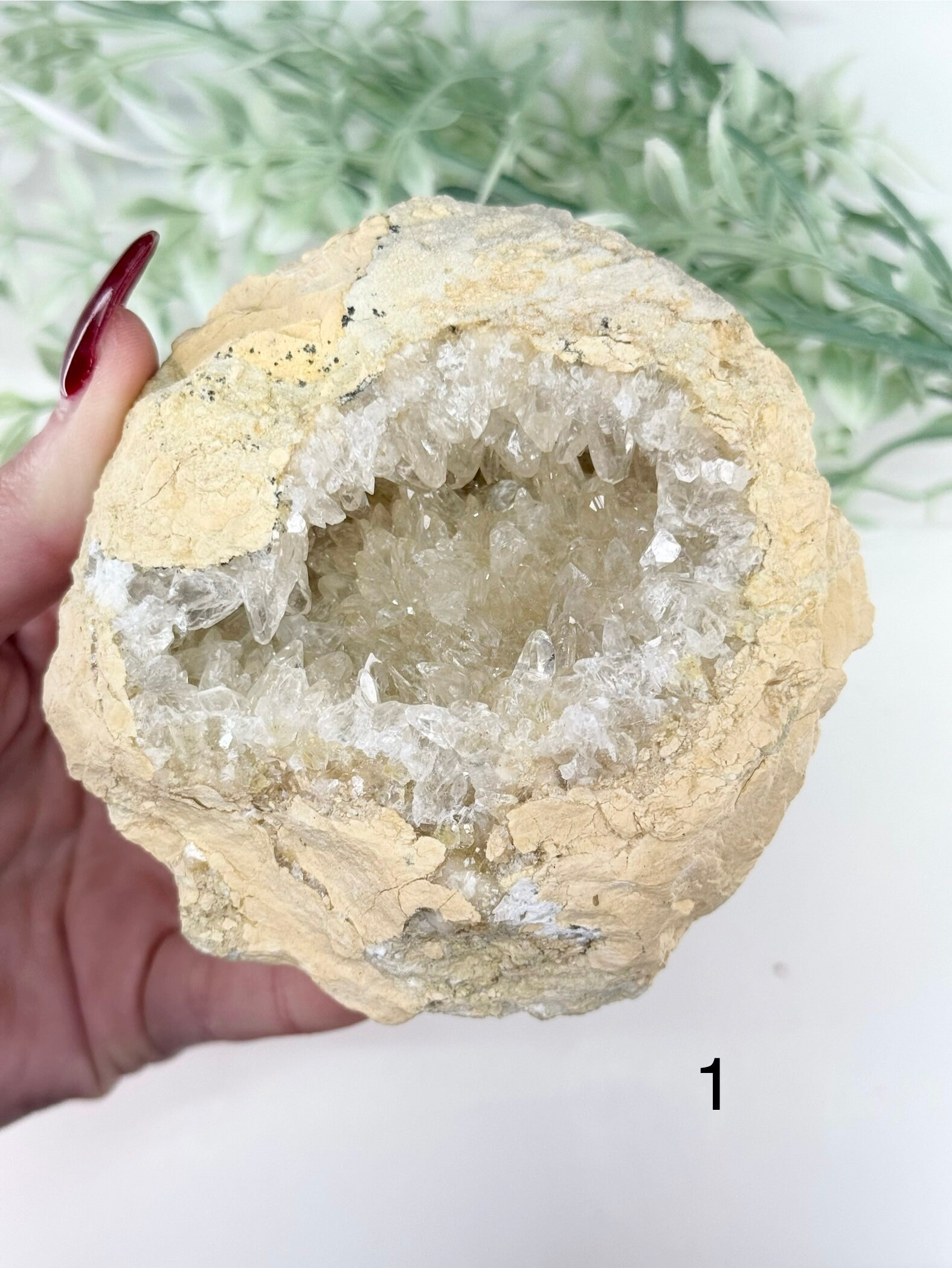 Stunning White Quartz Geode Unique Crystal Geode Cracked Open YOU ...