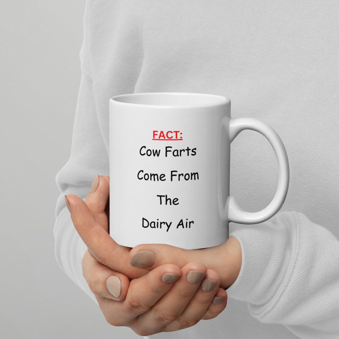 FACT: Cow Farts Come From the Dairy Air Mug Funny Coffee Mug - Etsy Canada