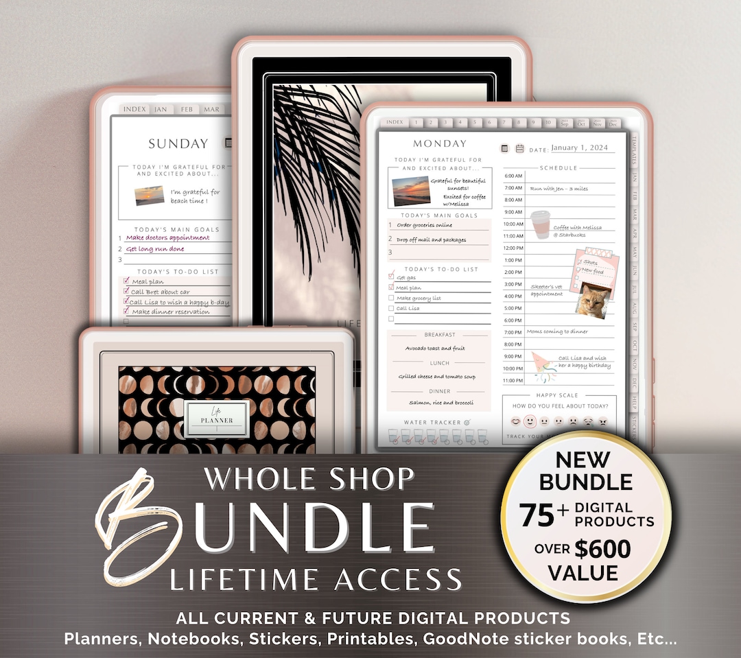 Digital Planner Digital Sticker Whole Shop Bundle Budget - Etsy Canada