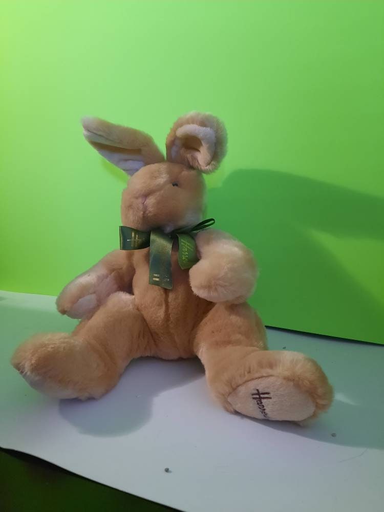 Cuddly Dudley Stuffed Animal