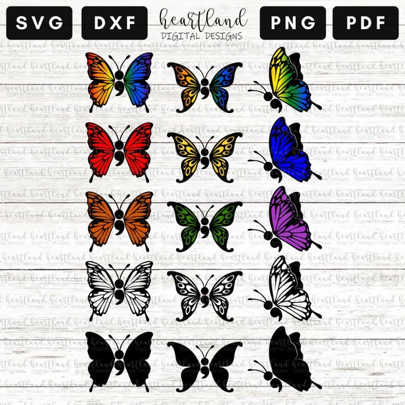 Multiple Semi-colon Butterfly Images Colorful Images for - Etsy