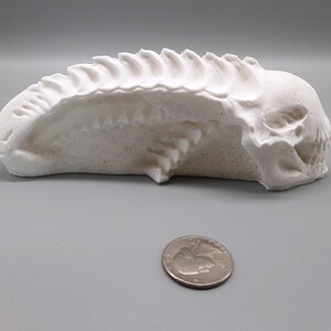 Alien Skull Resin Statue, Alien, Skull, Statue, Resin - Etsy