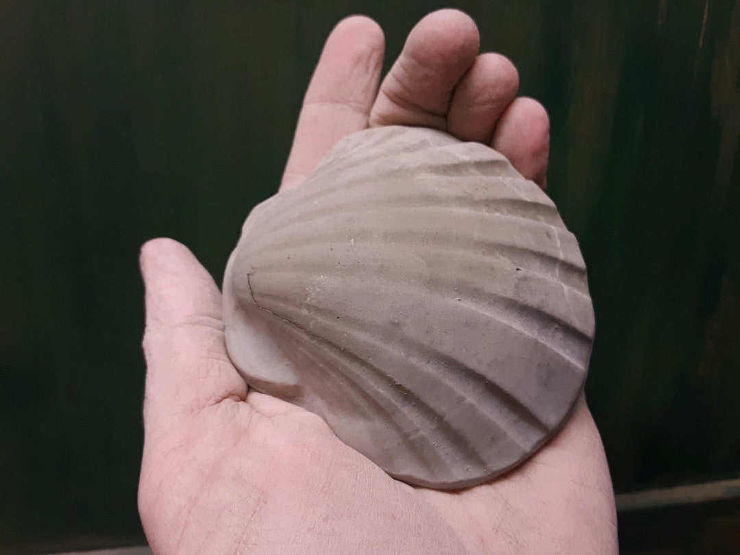 Shell Small Concrete Statue, Shell, Sea, Sea Life, Seashell, Clam, - Etsy